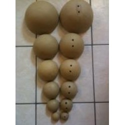 Paper & Plastic Shells